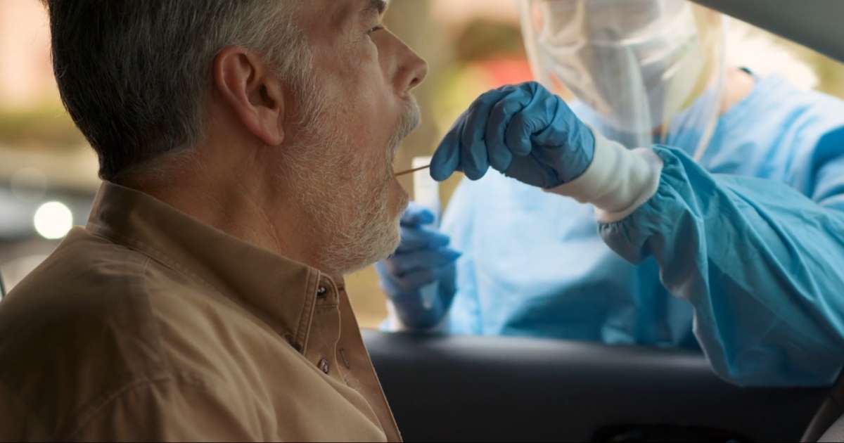 NDL Software - Case Study Video - Reel Film